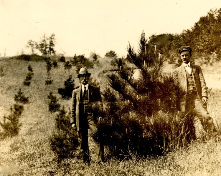 TMBC WilcoxTrees – Milan NY History